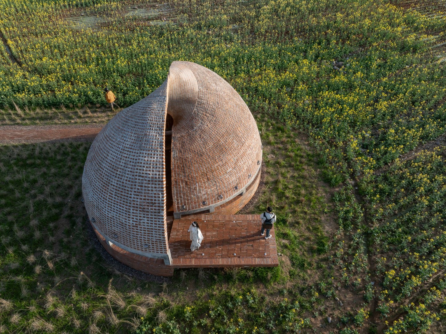 Twisted Brick Shell Concept Library | Archetype