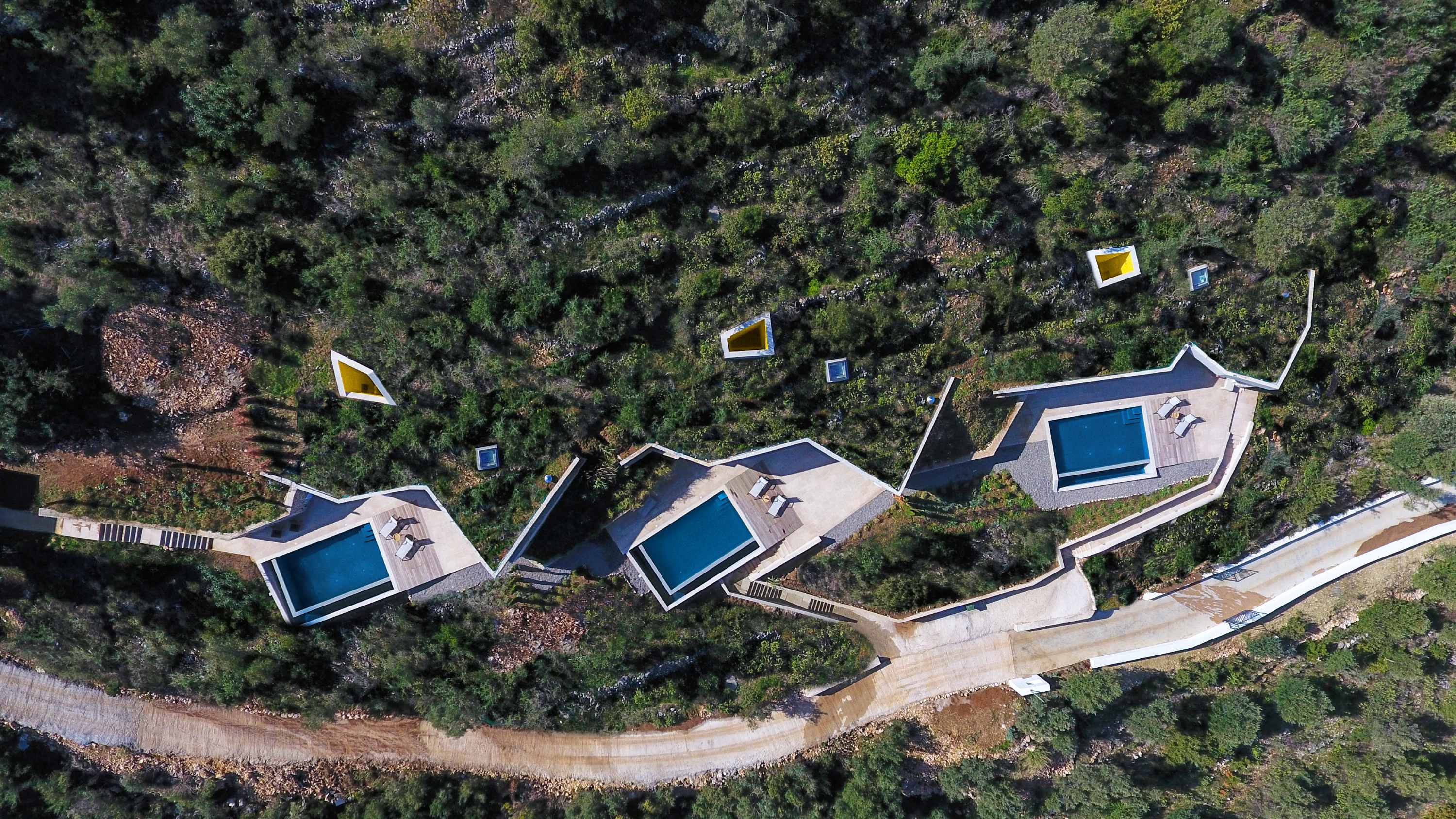 Blooms House | Archetype